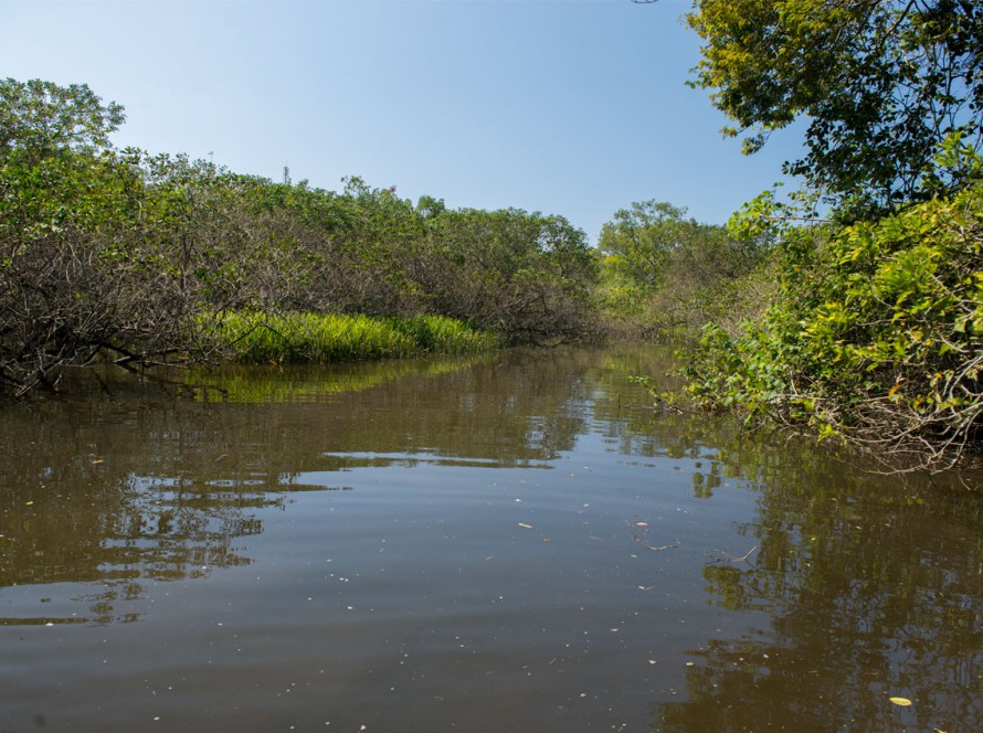 ODS – Índice de Desenvolvimento Sustentável das Cidades – ICC