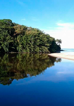 APA Baleia Sahy – ICC